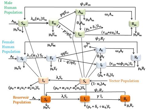 Effective Control Strategies For Sex Structured Transmission Dynamics