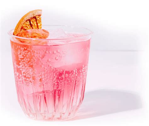 Directed Microbial Fermentation Technology Xian Healthful Biotechnology Coltd