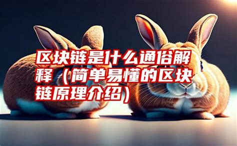 区块链是什么通俗解释（简单易懂的区块链原理介绍） 子期号