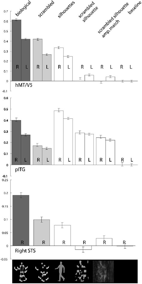 Activity Profiles Of The Five Rois In Experiment 4 Plotting Percentage