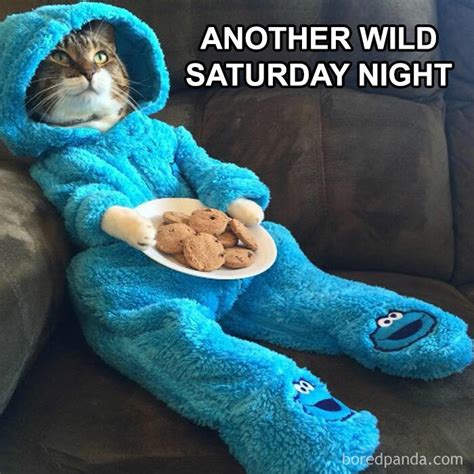 25 Saturday Memes To Kickstart Your Weekend With Laughter Bored Panda