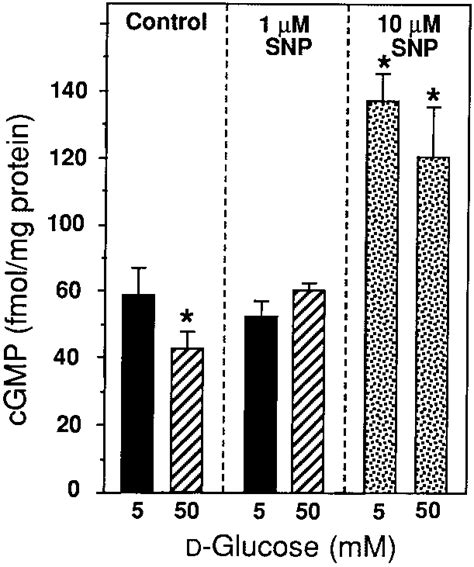 Effect Of Snp On D Glucose Induced Decrease In Cgmp In Sh Sy5y Cells Download Scientific