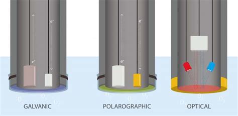 FishSens Magazine How Do Dissolved Oxygen Sensors Work Technology Makes It Quick And Easy