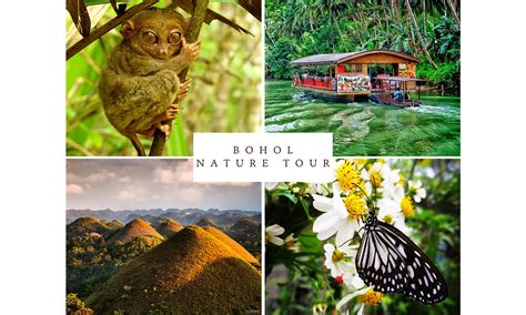 Bohol Transfers Premium Tours Bohol