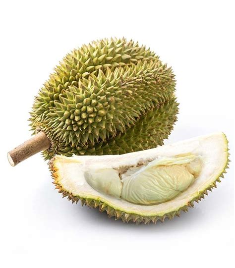 Durian Kampung Kuala Lumpur Kl Selangor Malaysia Exporter Supplier Distributor Mk Durian