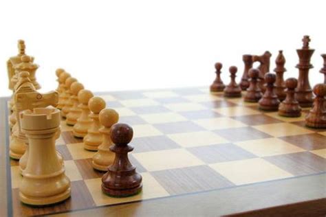 Trader Synonyms 32 Similar Words Merriam Webster Thesaurus