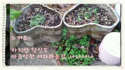 엄마의일기 왁스 Youtube