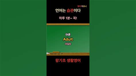 영어 하모니 하루 1분 쉬운 영어 실생활 영어 외우지 마세요 틀어만 두세요 갑자기 외워져요 흘려듣기