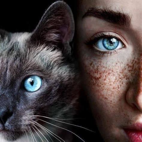 Life's little treasures | Фотография глаза, Кошки и котята, Портрет