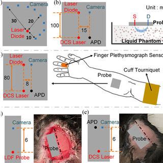 A Variety Of Probes Designed For Evaluating The Performance Of Dscf