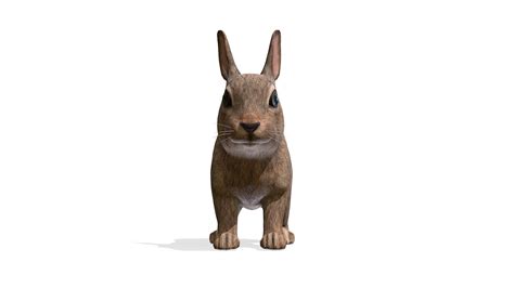 Artstation Bunny Game Assets