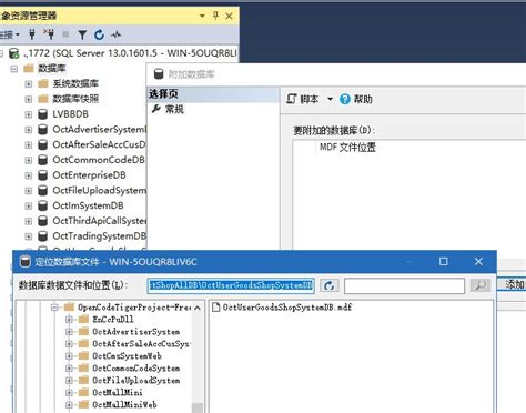 八大数据库安装与配置 跨平台版windows部署 octshop免费开源大型多用户商城系统 开发文档