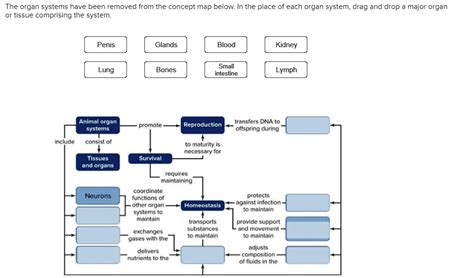 The Organ Systems Have Been Removed From The Concept Map