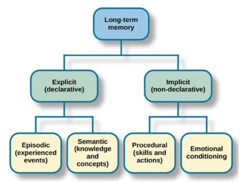 Ap Psych Cognition Flashcards Quizlet Ap Psych Cognition Flashcards Quizlet