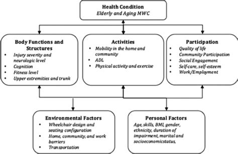 Occp1103 Introduction To The Occupational Performance Model Australia