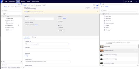 Azure Ai Vision Image Analysis Generating A Single Image Caption In