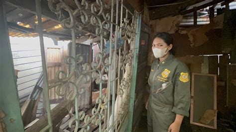 Man Died In His House His Body Was Eaten By A Big Lizard