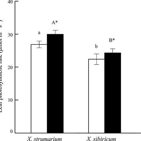 Plant Hormone Signal Transduction Pathway In The Shoot Of Xanthium
