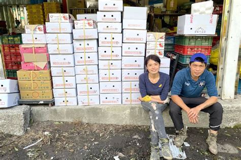 梨山水果禮盒推薦梨山水蜜桃鮮甜多汁好誘人 Yahoo商家指南 找店