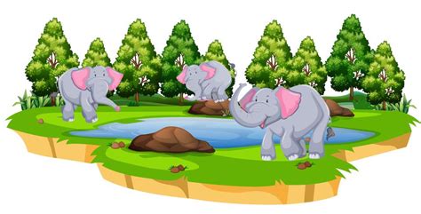 Group Of Elephant In Nature 541598 Vector Art At Vecteezy