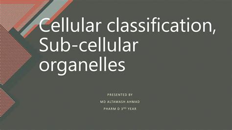 Cellular Classification Sub Cellular Organelles Pptx Biological