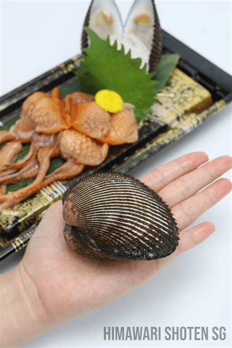 Live Akagai Sashimi Ark Shell Delivery In Singapore Himawari Shoten