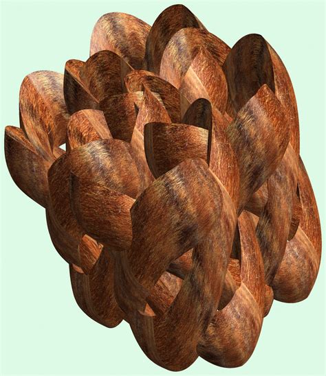 무료 이미지 구조 목재 조직 무늬 식품 생기게 하다 조명 조각 그림 디자인 대칭 3d 그래픽 매듭 수학자 Cg Parametricplot3d