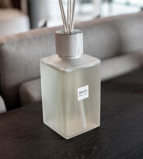 Sences Reed Diffusers Large And Extra Large Chloe Jade Home