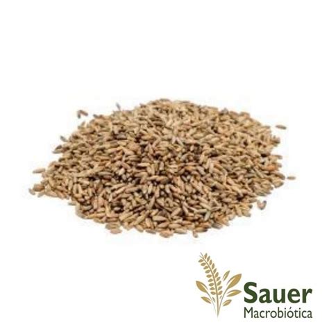 Centeio Em Grãos 500g Sauer Macrobiótica