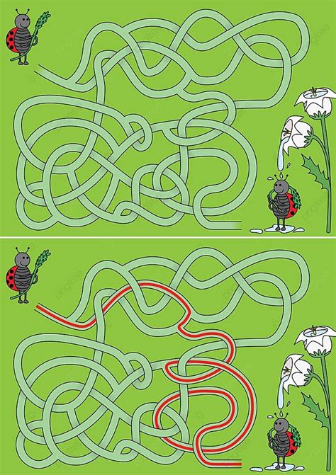 Ladybug Maze Puzzle Composition Maze Vector Puzzle Composition Maze Png And Vector With