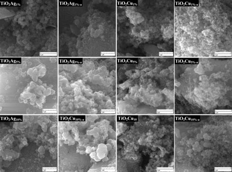 SEM Images Of TiO2 Nanopowders Doped During Sol Gel Synthesis Download Scientific Diagram