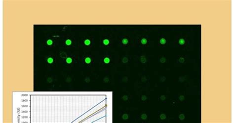 Human Cytokine Array Q1200