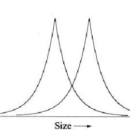Two Receptive Fields Are Shown These Receptive Fields Are For The Same Download Scientific