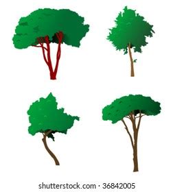 Tree Limbs Clipart Over Royalty Free Licensable Stock Vectors Vector Art Shutterstock