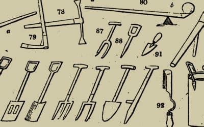 Comprehensive Guide To Choosing And Using Top Soil For Gardening Soil Society