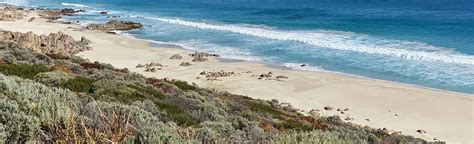 Cape To Cape Track Cape Naturaliste Smiths Beach Western Australia