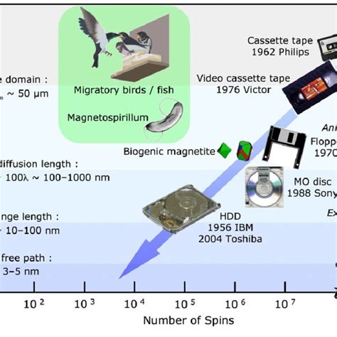 Pdf Future Perspectives For Spintronic Devices