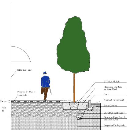 Where Is Structural Soil Used Denbow