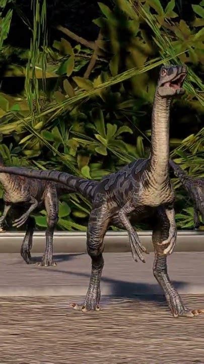 Segisaurus Release Jwe2 Youtube
