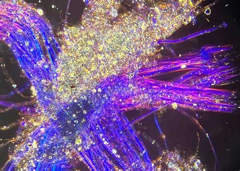 Asbestos Testing Accuguard Environmental