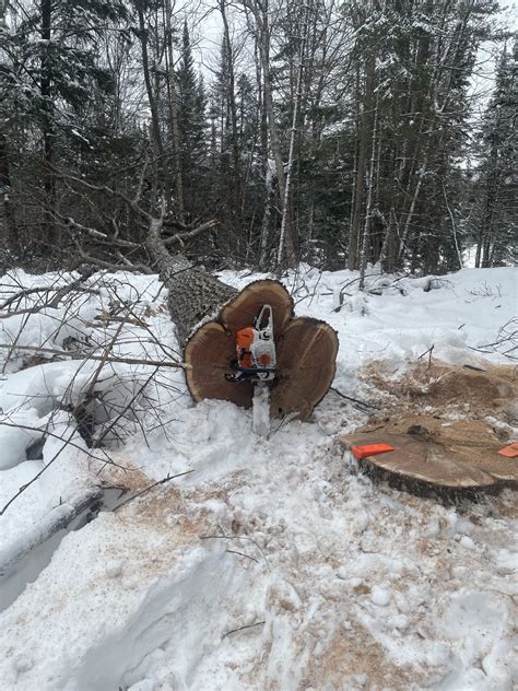 Gallery Logging And Firewood Ttr Inc