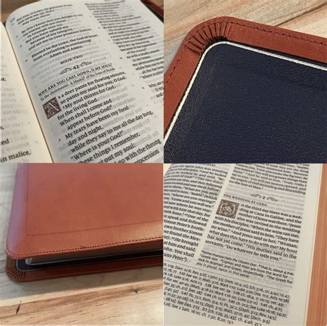 Review Schuyler Quentel Esv With Apocrypha — Guest Post By Matthew Kudija Catholic Bible Talk