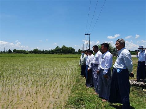 အုတ်တွင်းမြို့နယ်၌ မျိုးစပါးမျိုးစေ့ထုတ် စိုက်ပျိုးထားရှိမှု အခြေအနေများအား တာဝန်ရှိသူများက ကွင