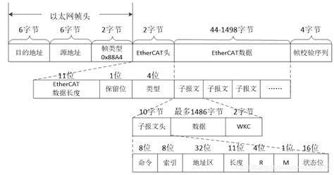 Ethercat理论学习笔记【一】 数据帧结构ethercat数据帧详解孔晨星的博客 Csdn博客