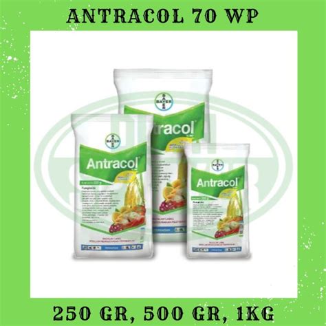 Jual Antracol 70 Wp Bayer Fungisida Kontak Protektif Shopee Indonesia