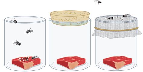 La GeneraciÓn EspontÁnea BiologÍa Y GeologÍa