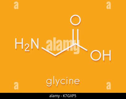 Glycine Gly G Amino Acid Molecular Model Amino Acids Are The Stock