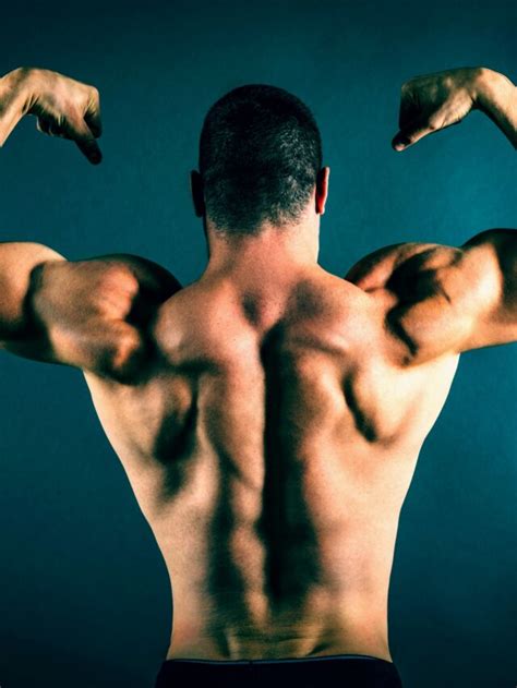 Advanced Back And Biceps Workout 6 Exercises Gym Geek