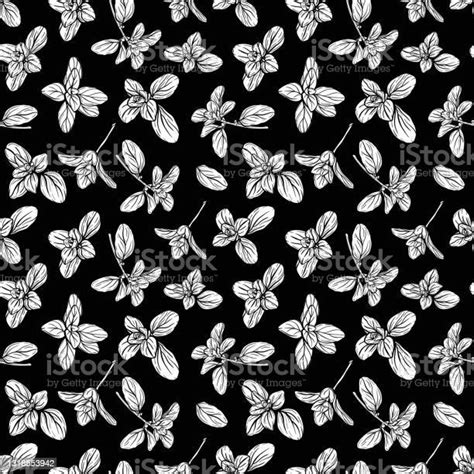 바질 매끄러운 패턴 이탈리아 허브 마조람의 잔가지 바질은 향기롭고 향기로운 조미료입니다 손으로 그린 일러스트레이션 나뭇가지에 대한 스톡 벡터 아트 및 기타 이미지 Istock