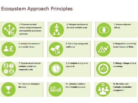 An Introduction To The Ecosystem Approach And Ecosystem